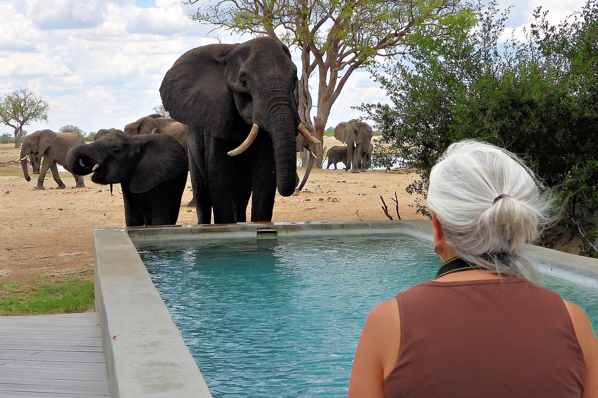 The Story of Tasimba - The Tasimba Experience