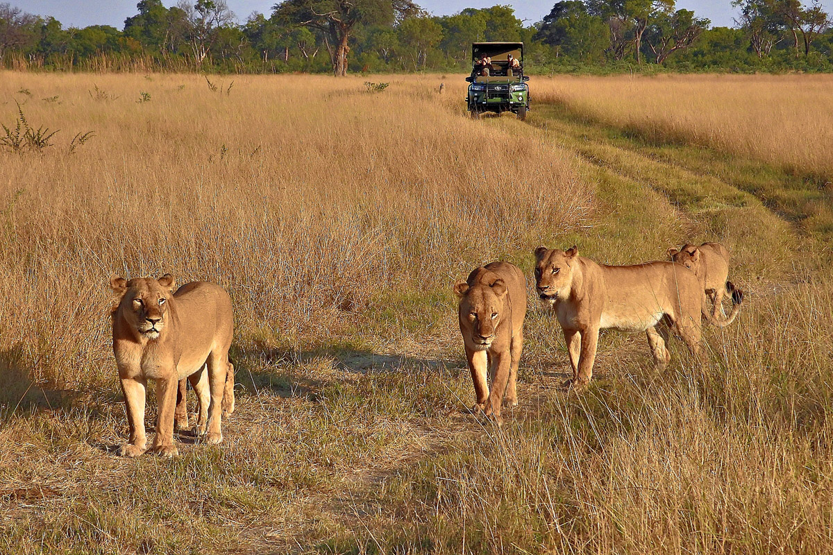 The Story of Tasimba - The Tasimba Experience